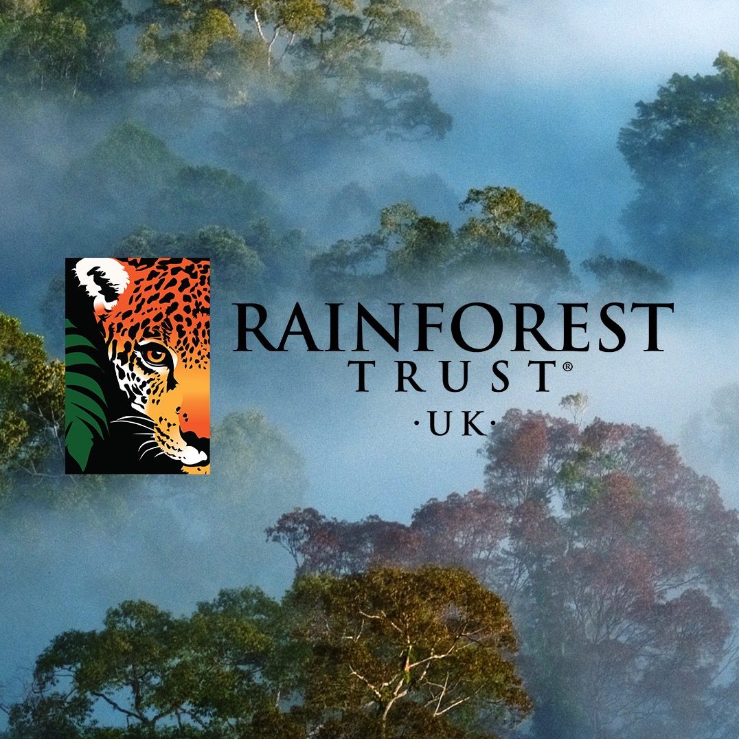 Mahogany Partners with The Rainforest Trust UK | Mahogany Creative